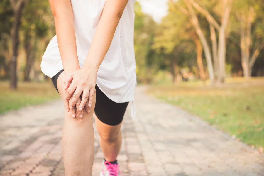 Building Strong Bones: Tips for Skeletal Health